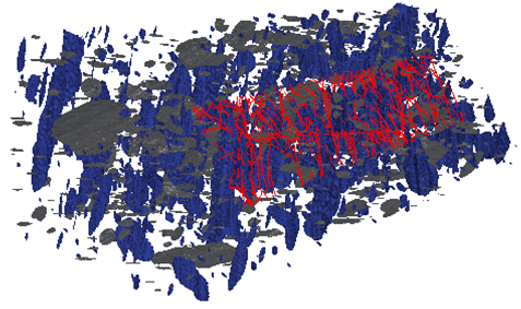 Discrete Fracture Networks | OptiSim Mining Solution